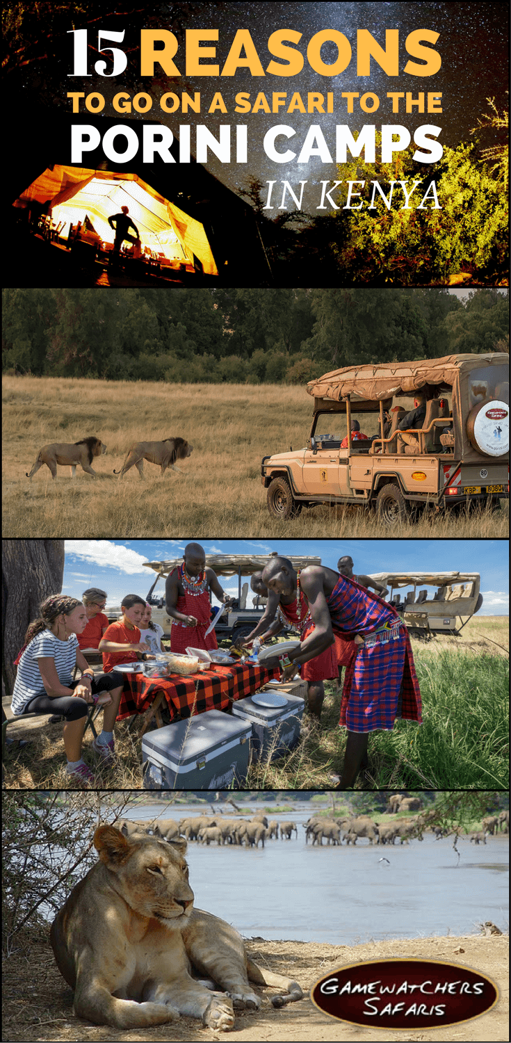 15 Reasons to Go on a Safari to the Porini Camps in Kenya – Porini Camps