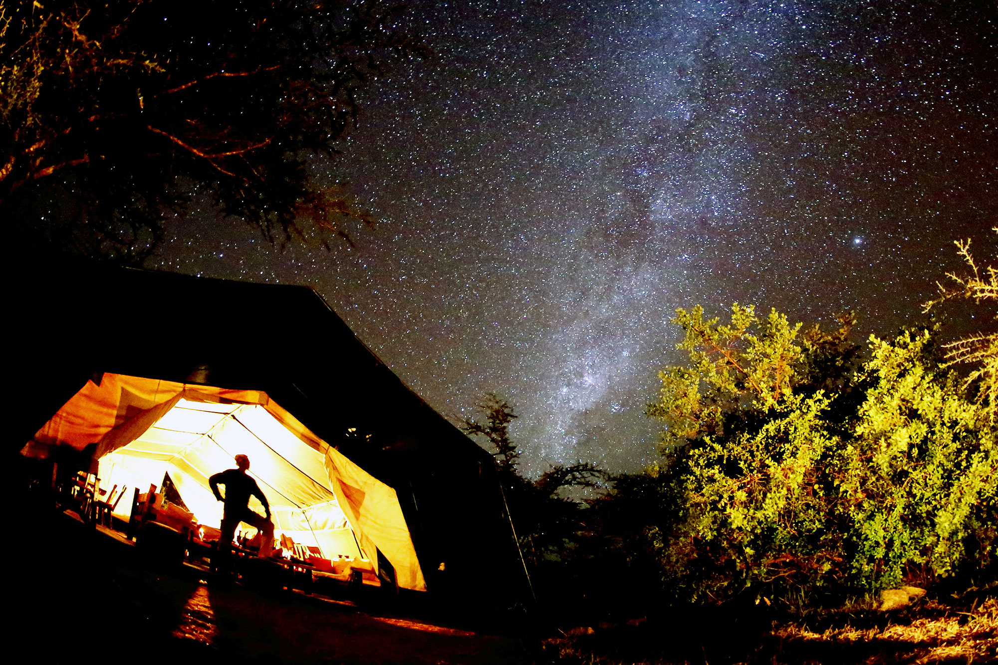 15 Reasons to Go on a Safari to the Porini Camps in Kenya – Porini Camps