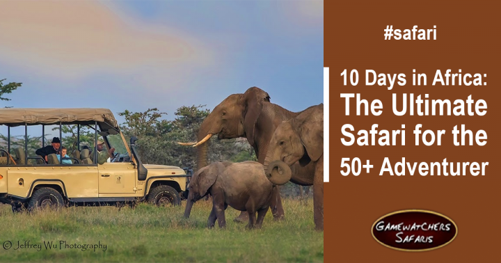 10 Days in Africa: The Ultimate Safari for the 50+ Adventurer – Porini ...