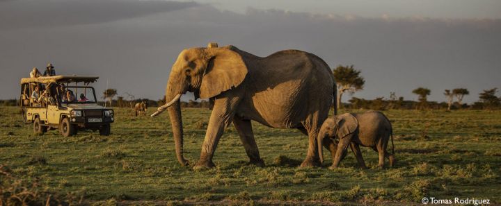 10 Reasons to Choose a Porini Camps Safari – Porini Camps