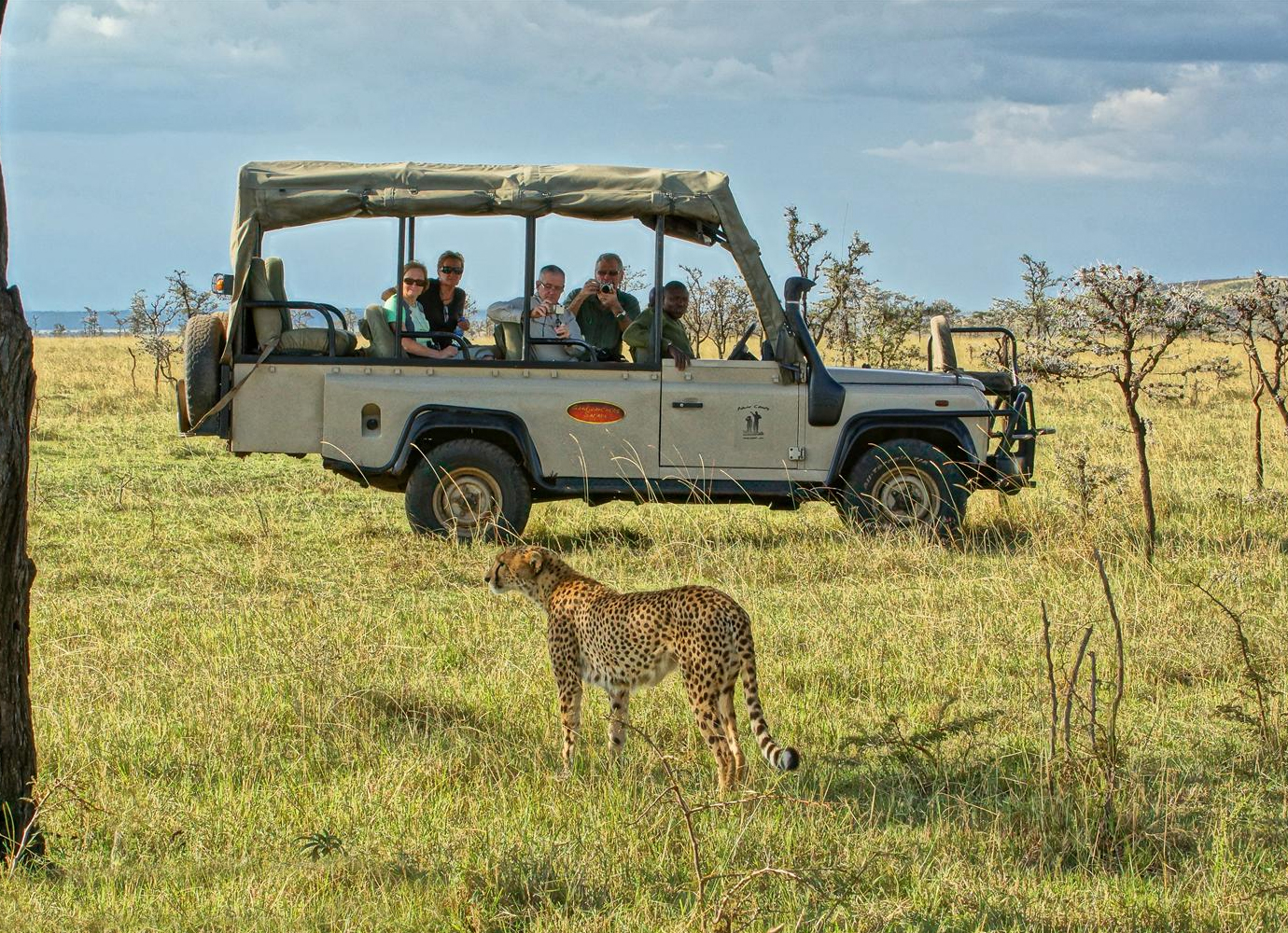 Maasai Mara Big Cat Safari – Porini Camps