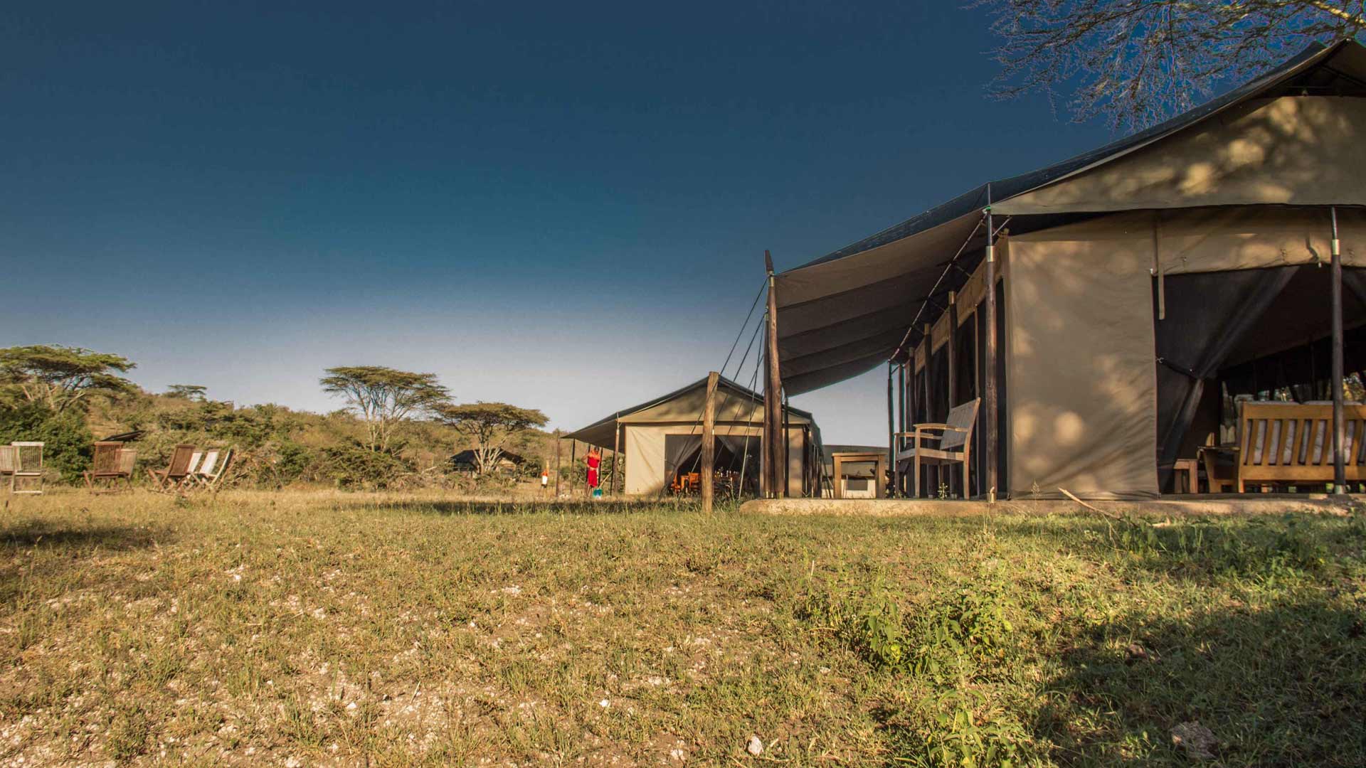 Cheetah Camp – Porini Camps