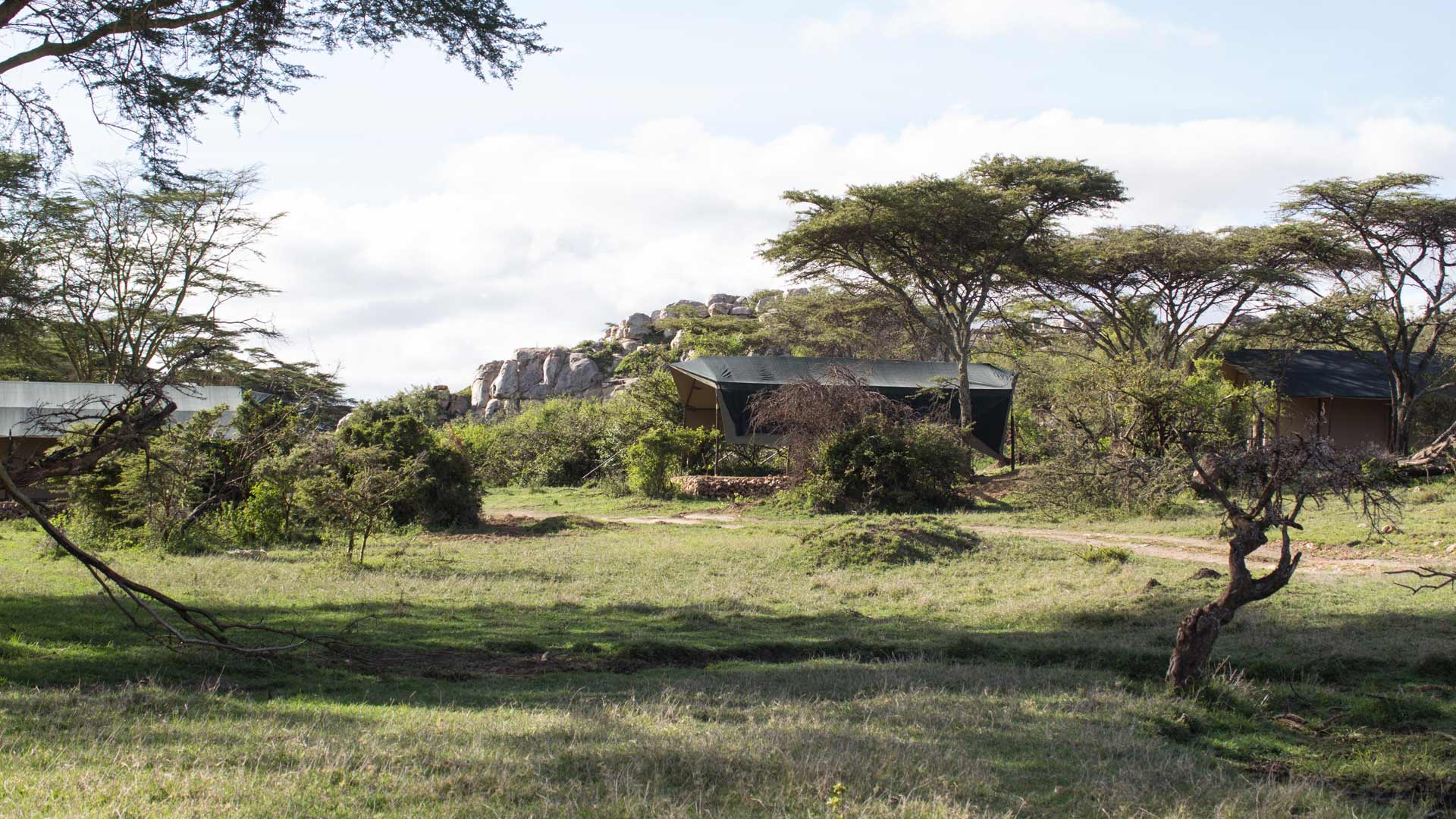 Cheetah Camp – Porini Camps