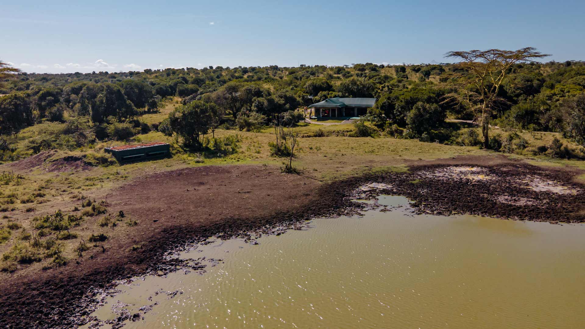 Rhino Camp – Porini Camps