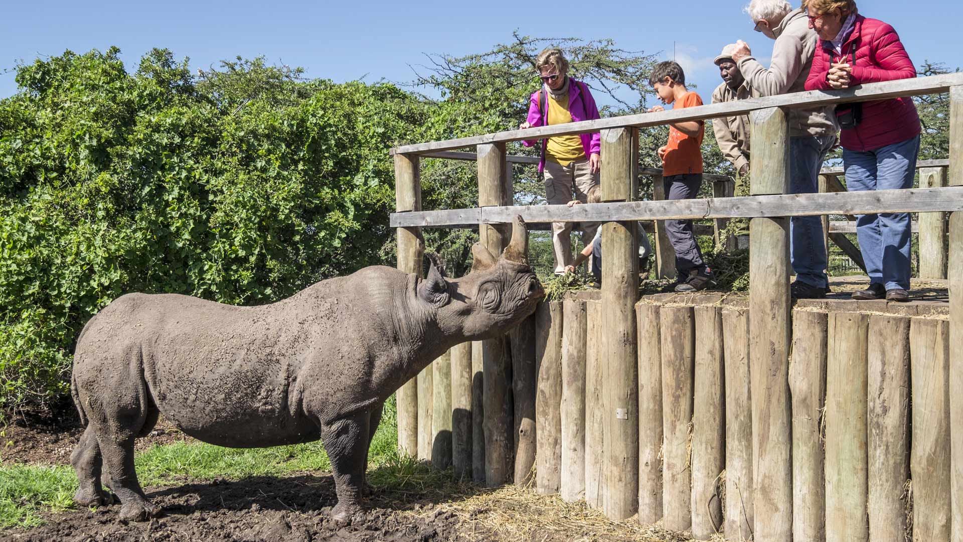 Rhino Camp – Porini Camps