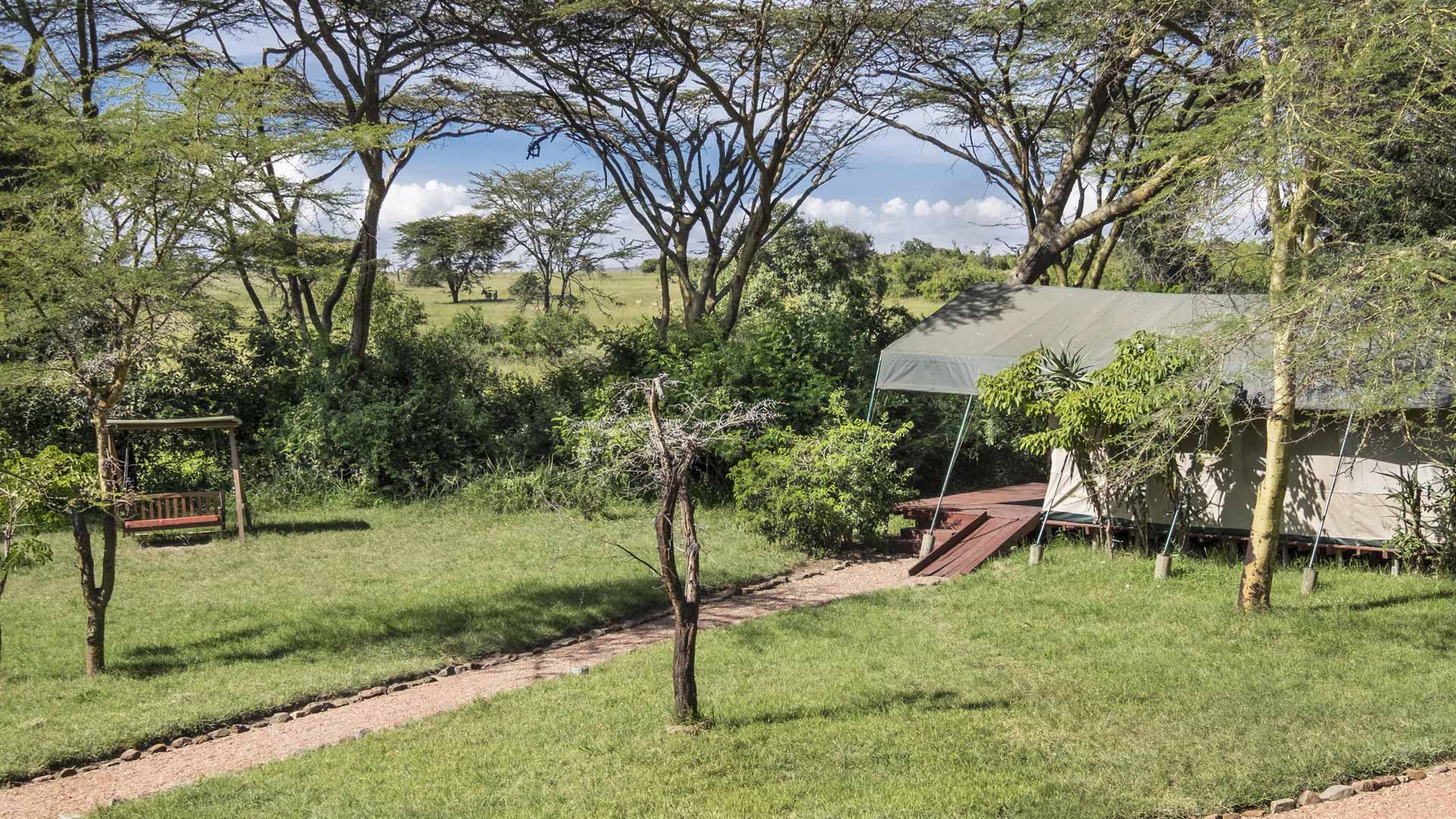 Mara Camp – Porini Camps